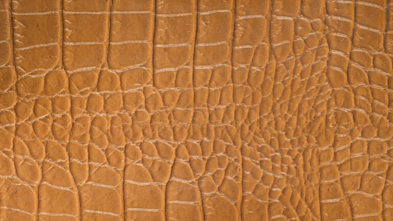 Chicken Leather: An Exotic Leather Type | Leather Advice