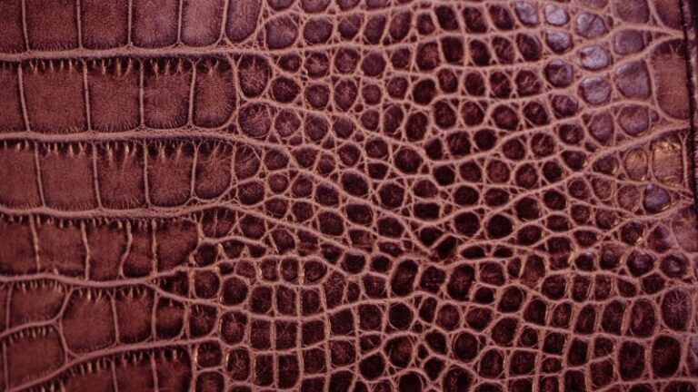 Chicken Leather: An Exotic Leather Type | Leather Advice