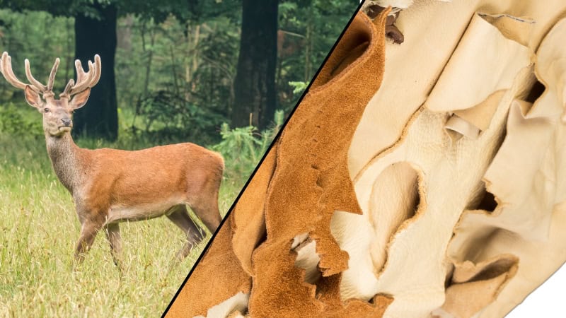 The Ultimate Guide to Deer Leather: History, Craftsmanship, & Uses ...
