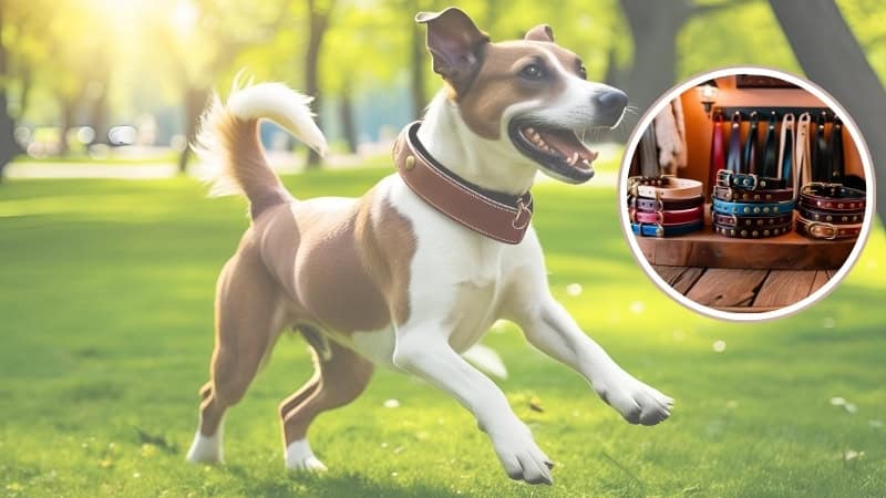 How to Make Leather Dog Collars: The Ultimate DIY Guide | Leather Advice
