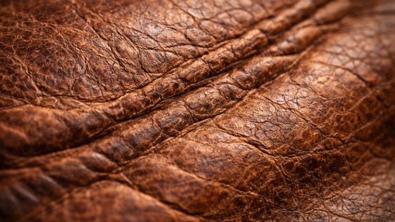 How Aging Changes Fiber Structure of Leather: The Complete Scientific ...